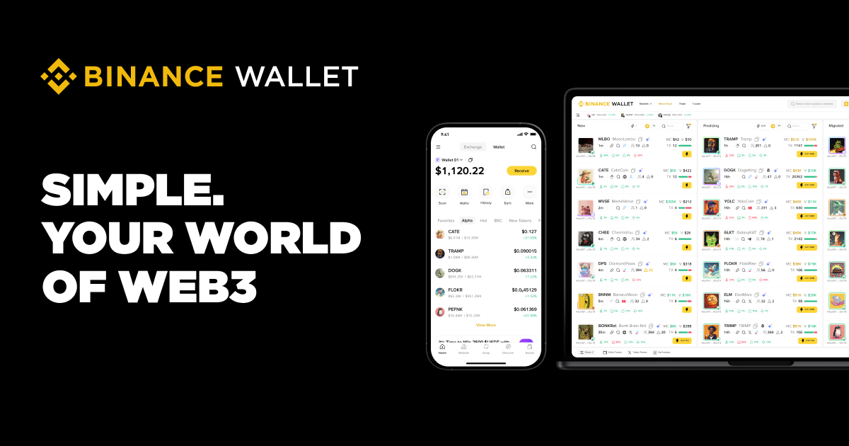 Portfolio | Binance Wallet
